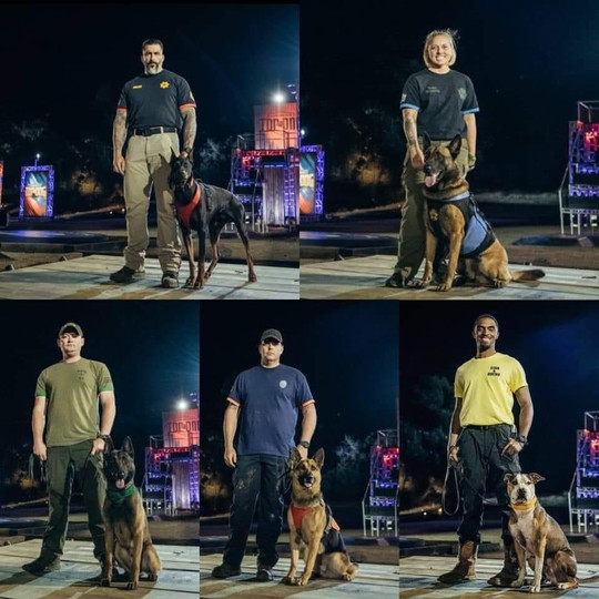 Dog Trainer | IRON SHARP K9 | Dallas-Fort Worth