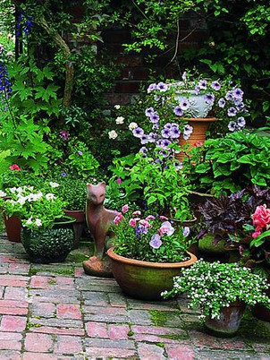 Stunning Photo Gallery of Pacific Rim Pottery in Medford, OR