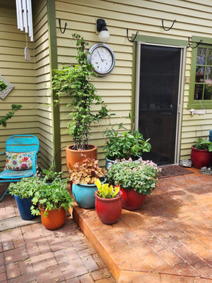 Stunning Photo Gallery of Pacific Rim Pottery in Medford, OR