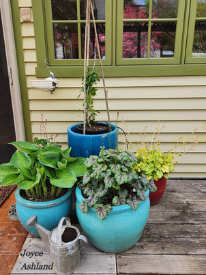 Stunning Photo Gallery of Pacific Rim Pottery in Medford, OR