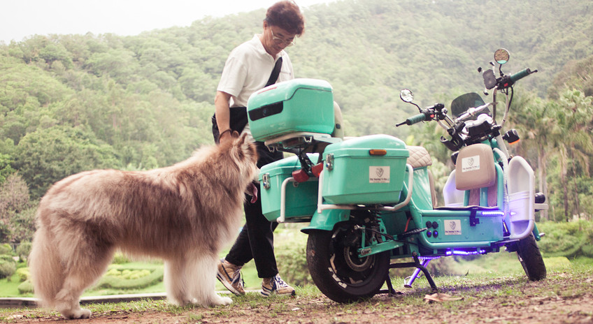 Will Mason Electric Scooters