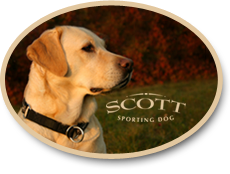 Scott Pet, Inc