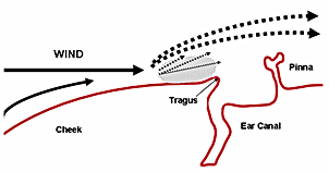 Cat-Ears | How they work