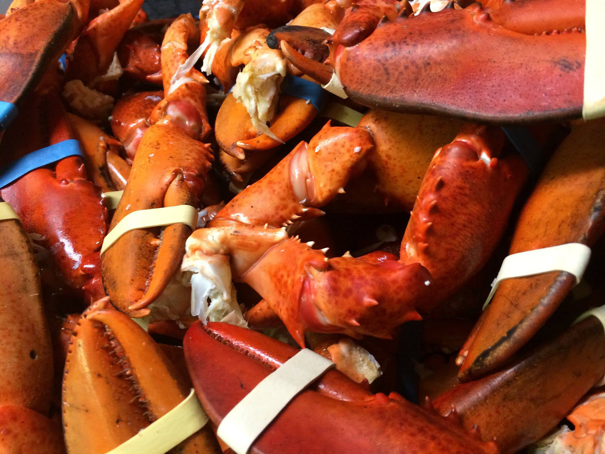 Out of the Blue - Seafood