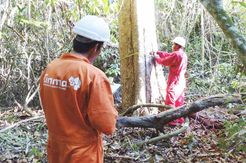 Itacoatiara, Brazil | Partner Forests