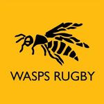 Home | Winnipeg Wasps Rugby Club