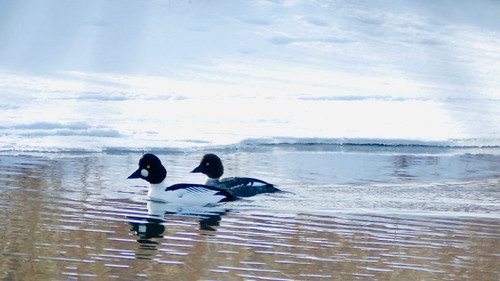 All Products | jeanmaher.com