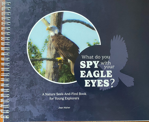 What do you Spy with your Eagle Eyes? | jeanmaher.com