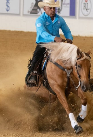 Home | All Star Reining Stakes