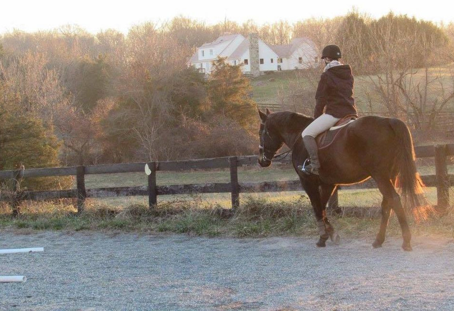 Gallery | Fitzgerald Stables | United States