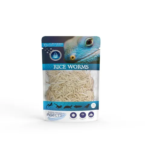 Superfresh Riceworms 15g | KingsOfTheAquarium