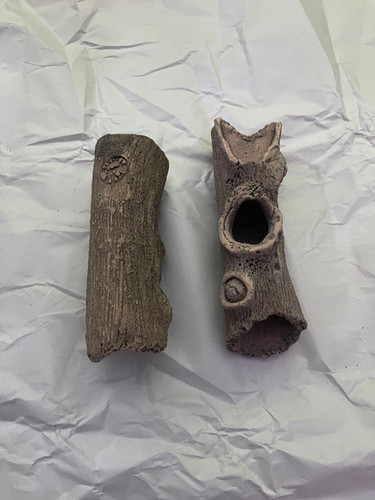 Lobby Log Open Ended (M) | KingsOfTheAquarium