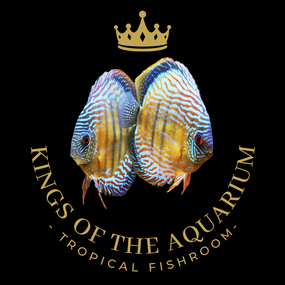 Shop | KingsOfTheAquarium