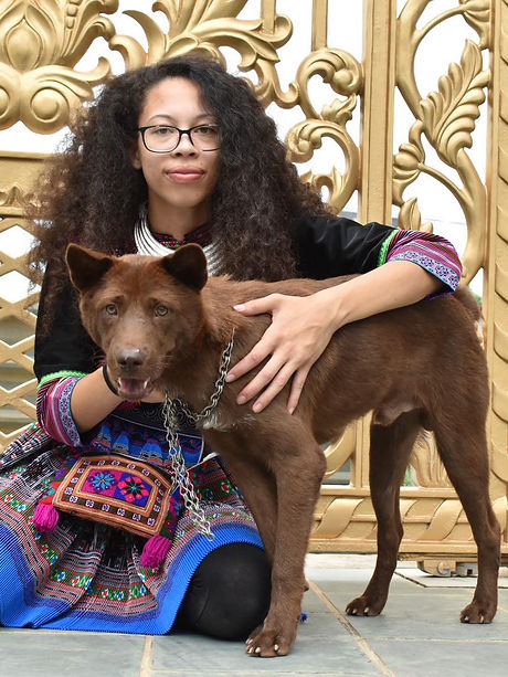 About Us | Hmong Bobtail Club of America