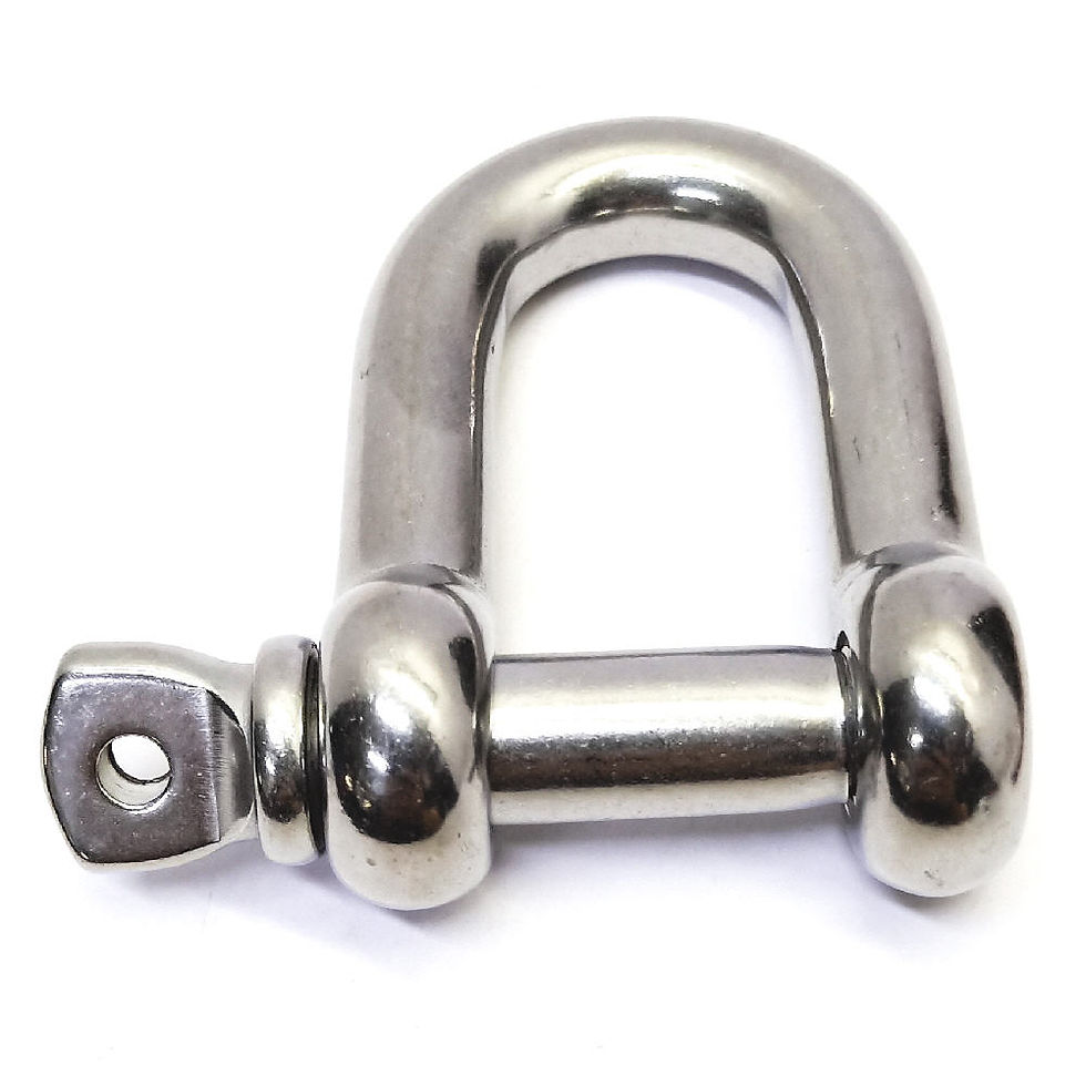 SSS12 12mm D Shackle SS | Li Fong Hardware