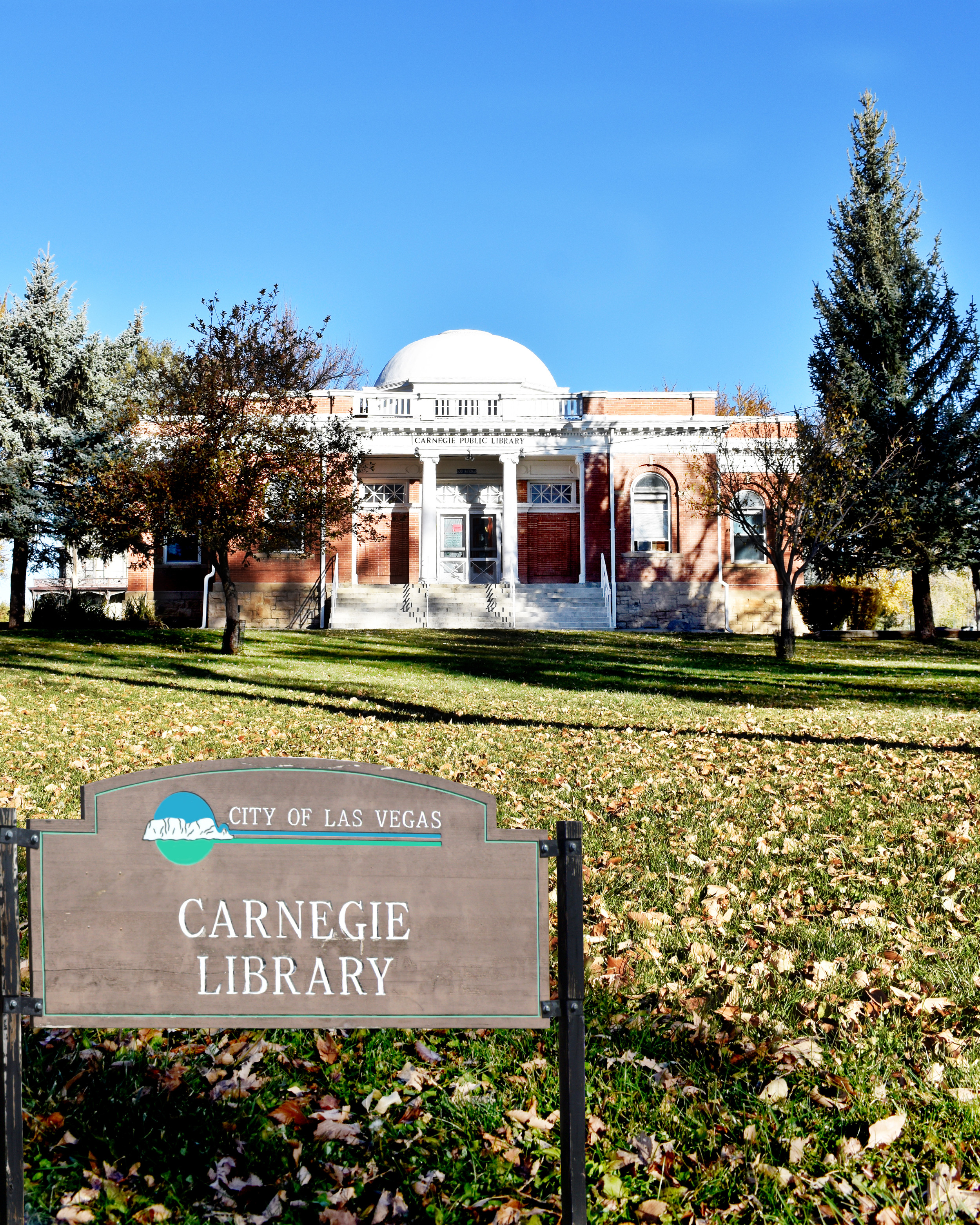 carnegie library catalog
