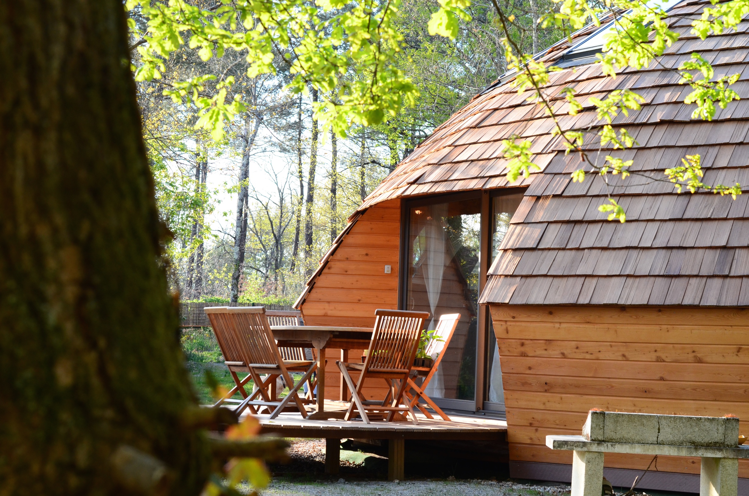 ELEVATION | Domespace