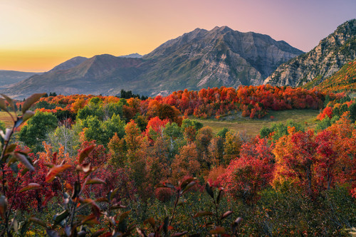 Mount Timpanogos Utah Fall Landscape Photography Print