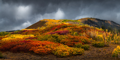 Brilliant Fall Colors Cimarron Panoramic Print- Colorado Autumn Photography