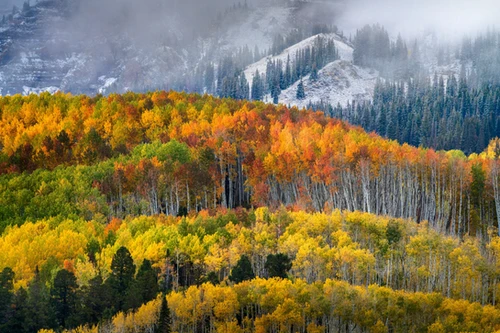 Photo of Kebler Pass - Autumn Landscape Photography Print - Colorado ...