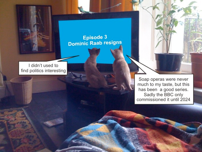 The cats review of The Rise and Fall of the Nasty Party series 6