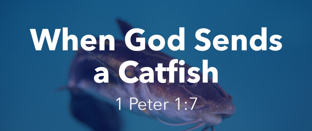 When God Sends a Catfish