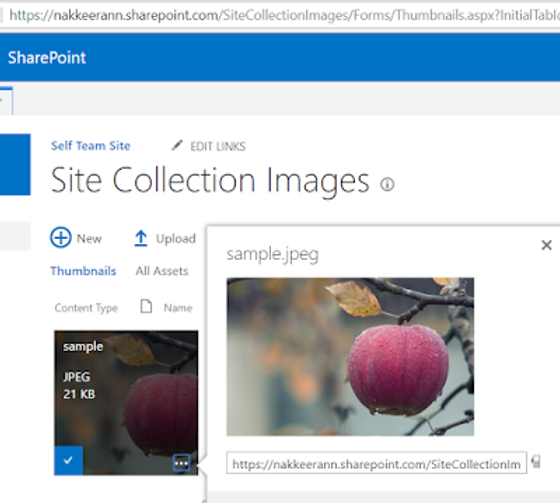 Analyze and Classify Images on Office 365 SharePoint using MS Flow and ...