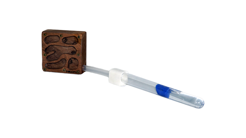 Carpenter Ant Starter Kit | Ants HQ