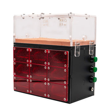 Formicariums - EarthScape | Ants HQ