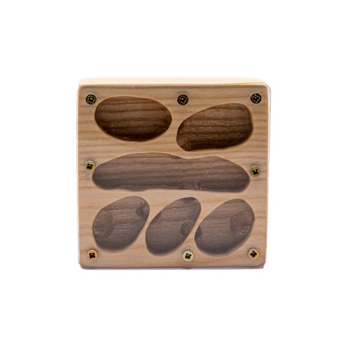 BoxHead Ant Nest | Ants HQ