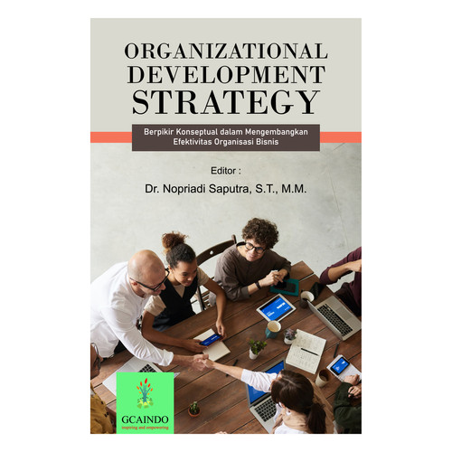 Organizational Development Strategy | Books