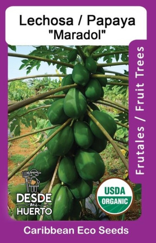 Papaya Maradol | Desde Mi Huerto