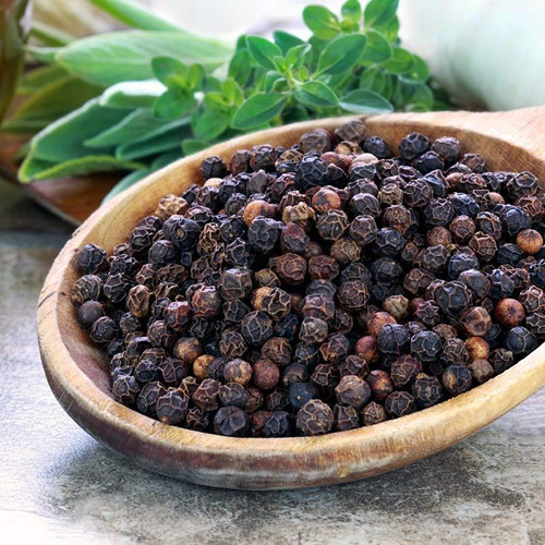 Black Pepper Grade A+ Quality | sencirareseedsarea