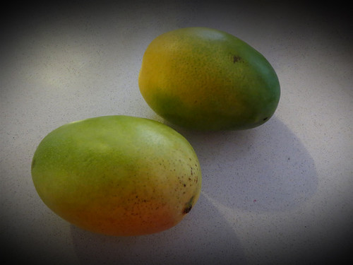 Mango - Brooks late | Mt Martin Tropicals