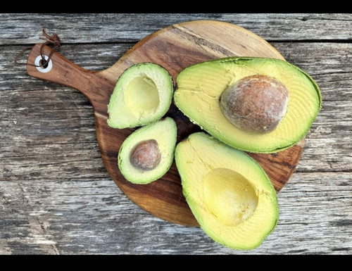 Avocado - Giant JALA (PBR) | Mt Martin Tropicals