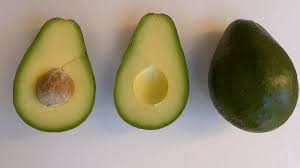 Avocado - Edranol (B type) 5L pot | Mt Martin Tropicals