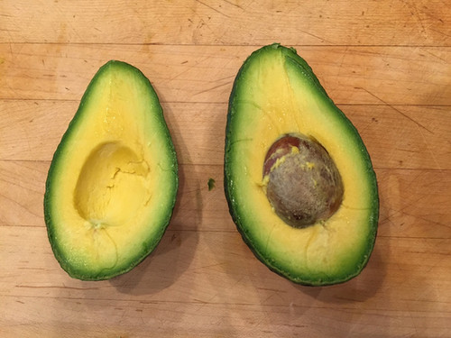 Avocado - Sharwil (B type) | Mt Martin Tropicals