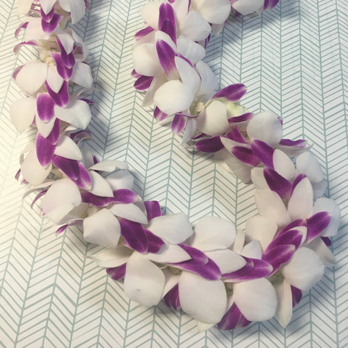 Fancy Orchid Lei 2 | Alluvion, Inc.