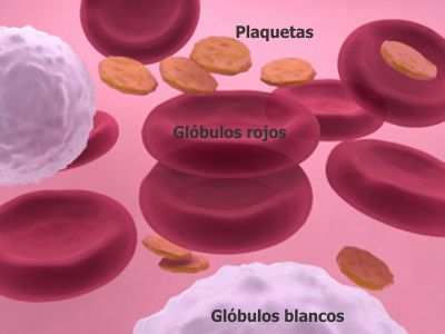 Serie Plaquetar | ClinicFast