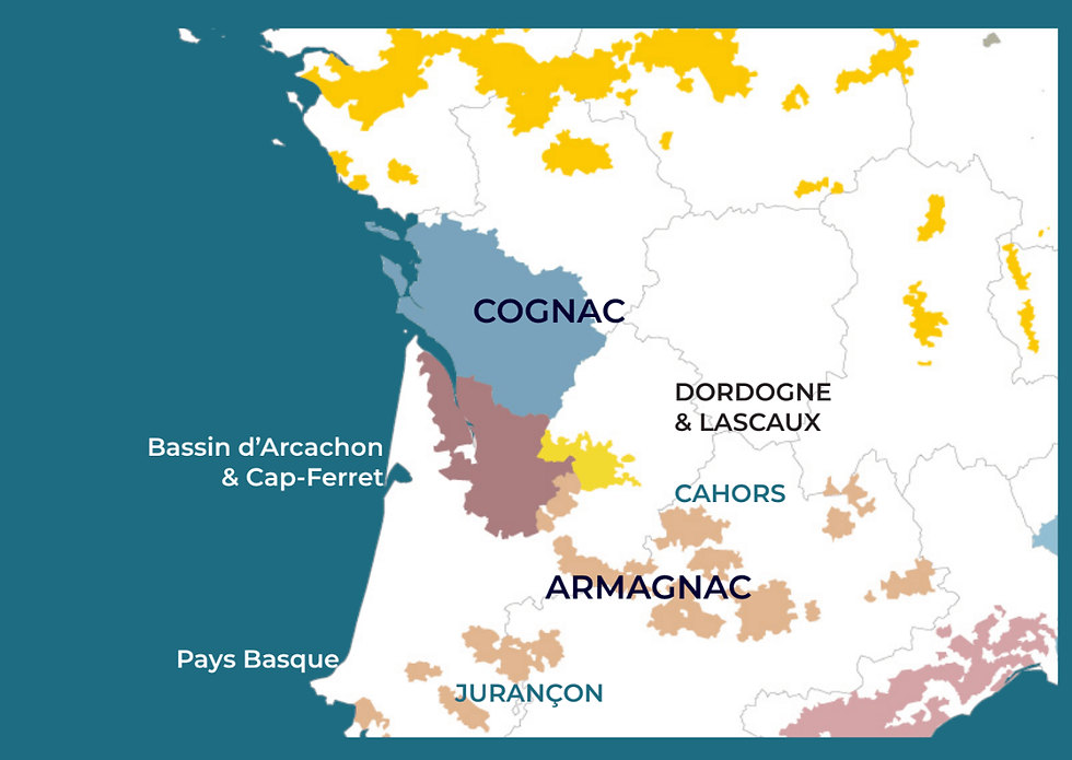 What are the differences between Armagnac and Cognac brandy?
