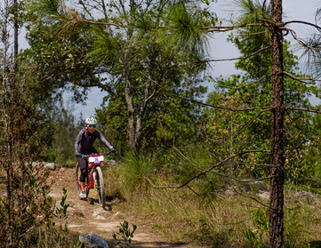 Bienvenidos a Parque El Picacho | Parque El Picacho