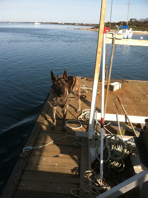 About | Keane Marine Service