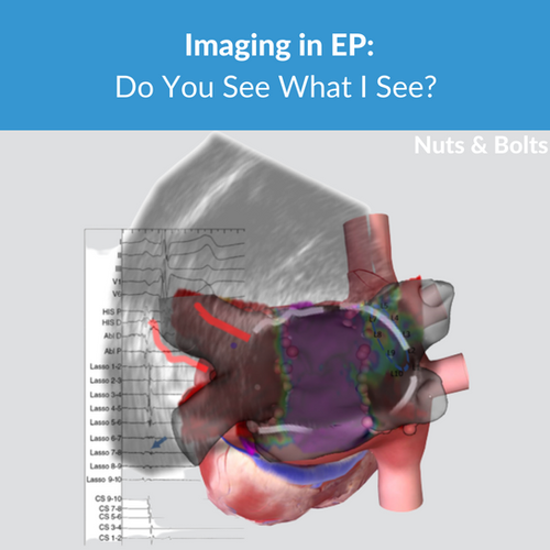 Radiology & EP Imaging: Do You See What I See? | CHA: EP Nerds Unite