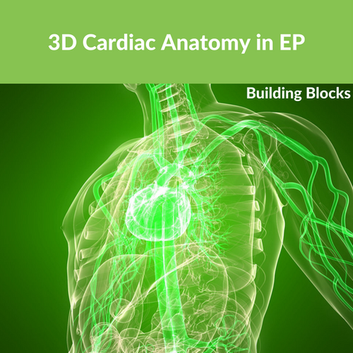 3D Cardiac Anatomy in EP | CHA: EP Nerds Unite