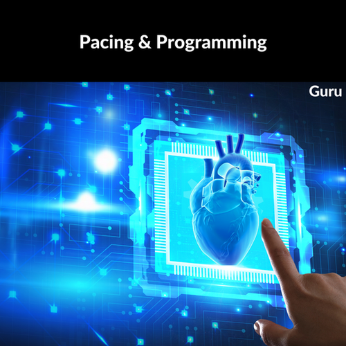 Device Clinic Pacing & Programming: Guru | CHA: EP Nerds Unite