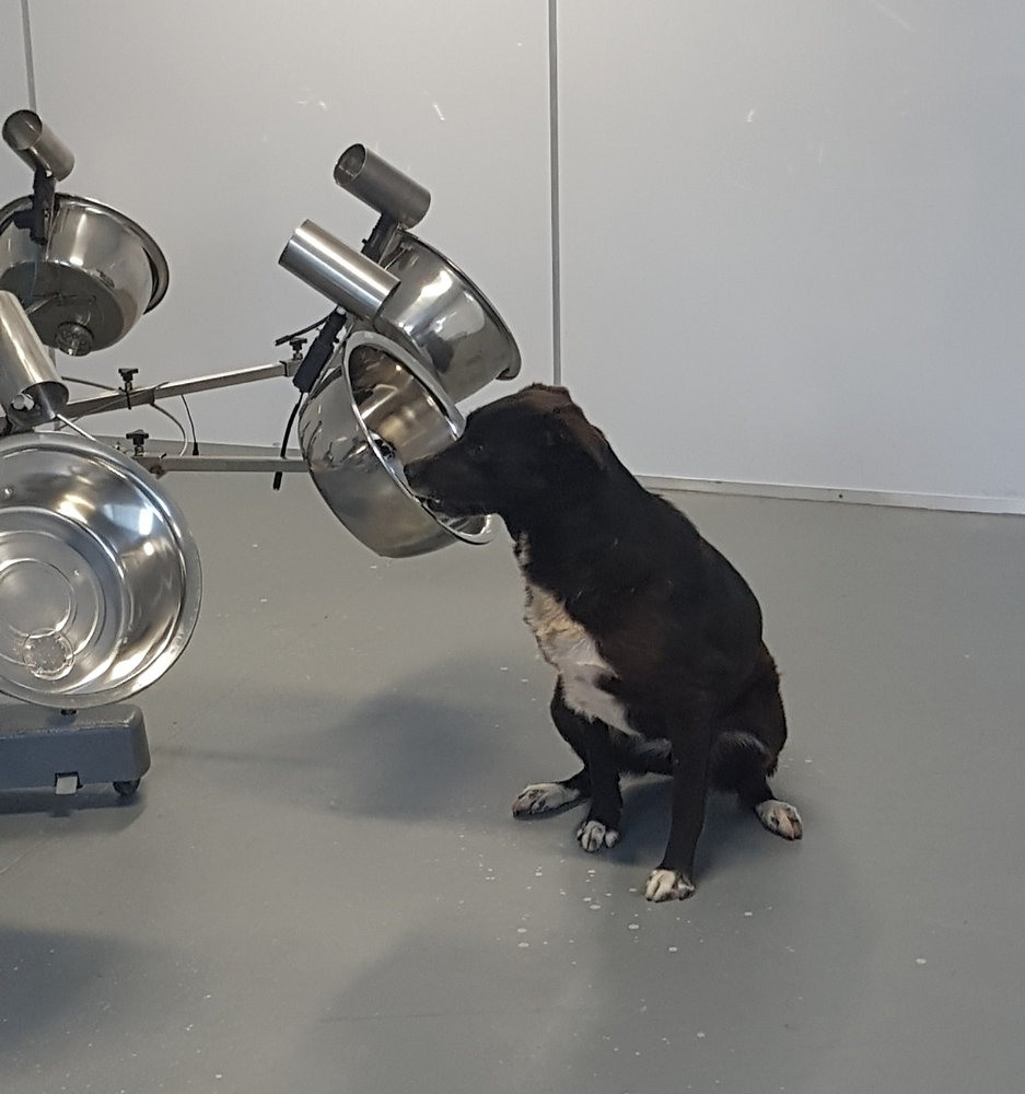 Passing the Sniff Test