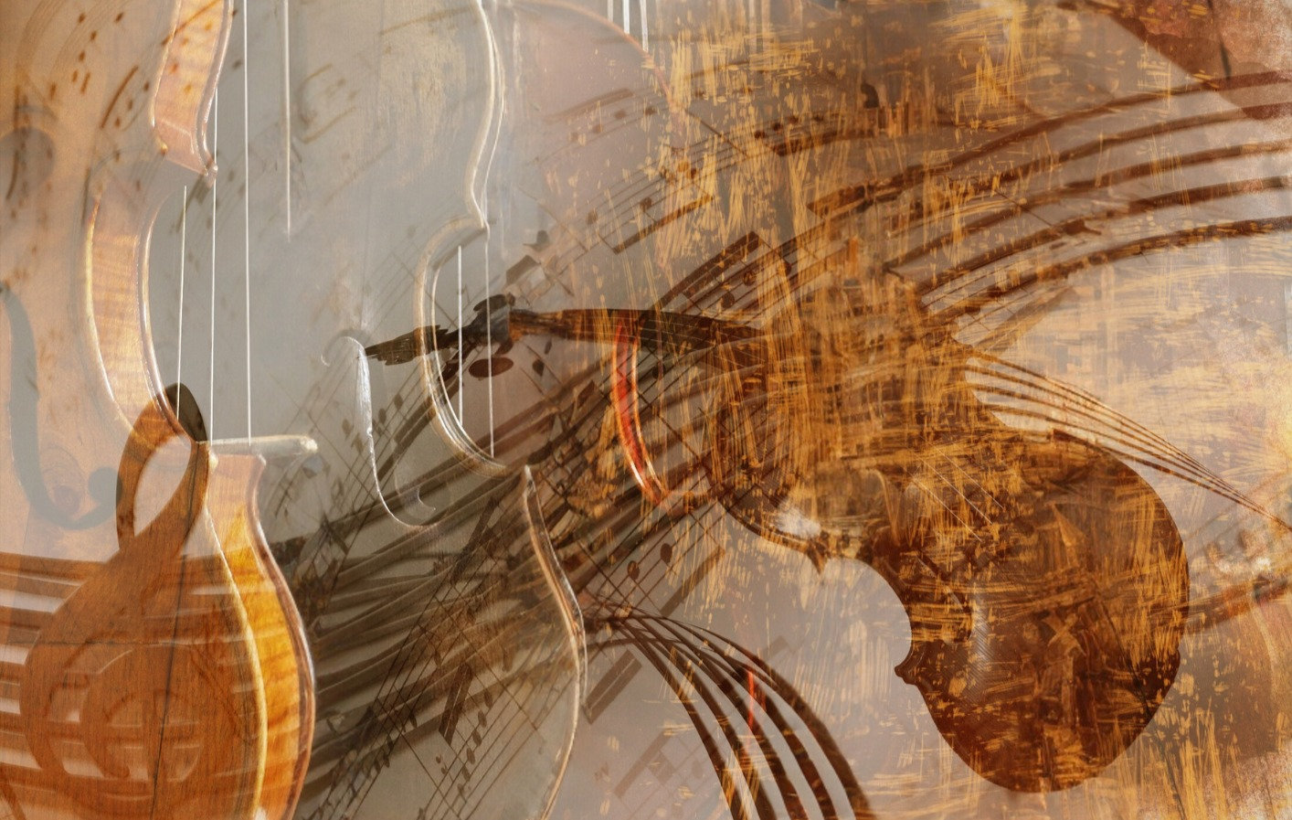 AUSTA CANBERRA STRING FESTIVAL | wesleymusiccentre