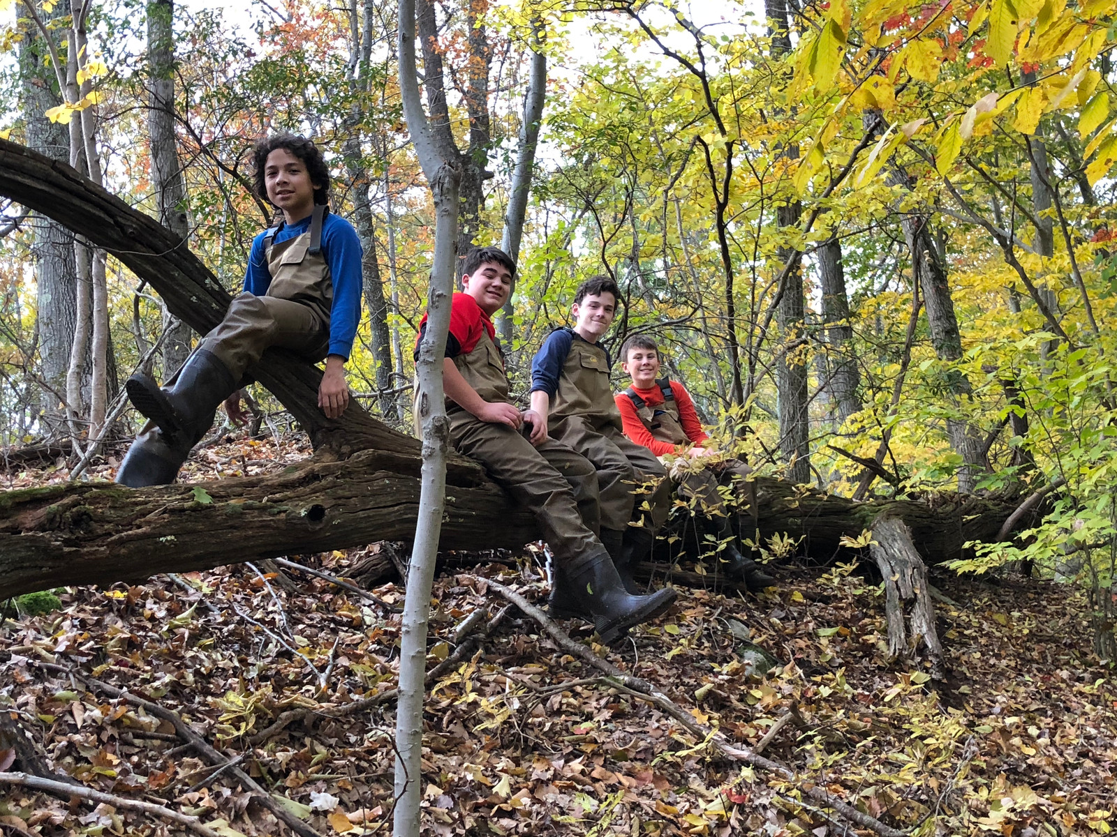 Summer Nature Camp | Woodcock Nature Center
