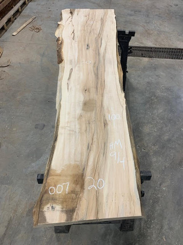007 Hard Maple Slab | My Site