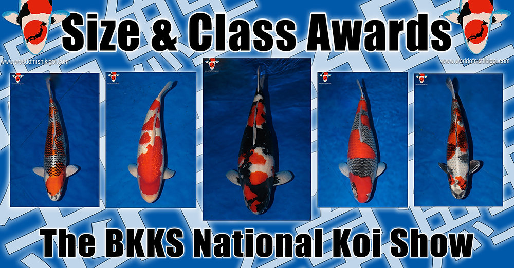 'Best In' Awards - National Koi Show